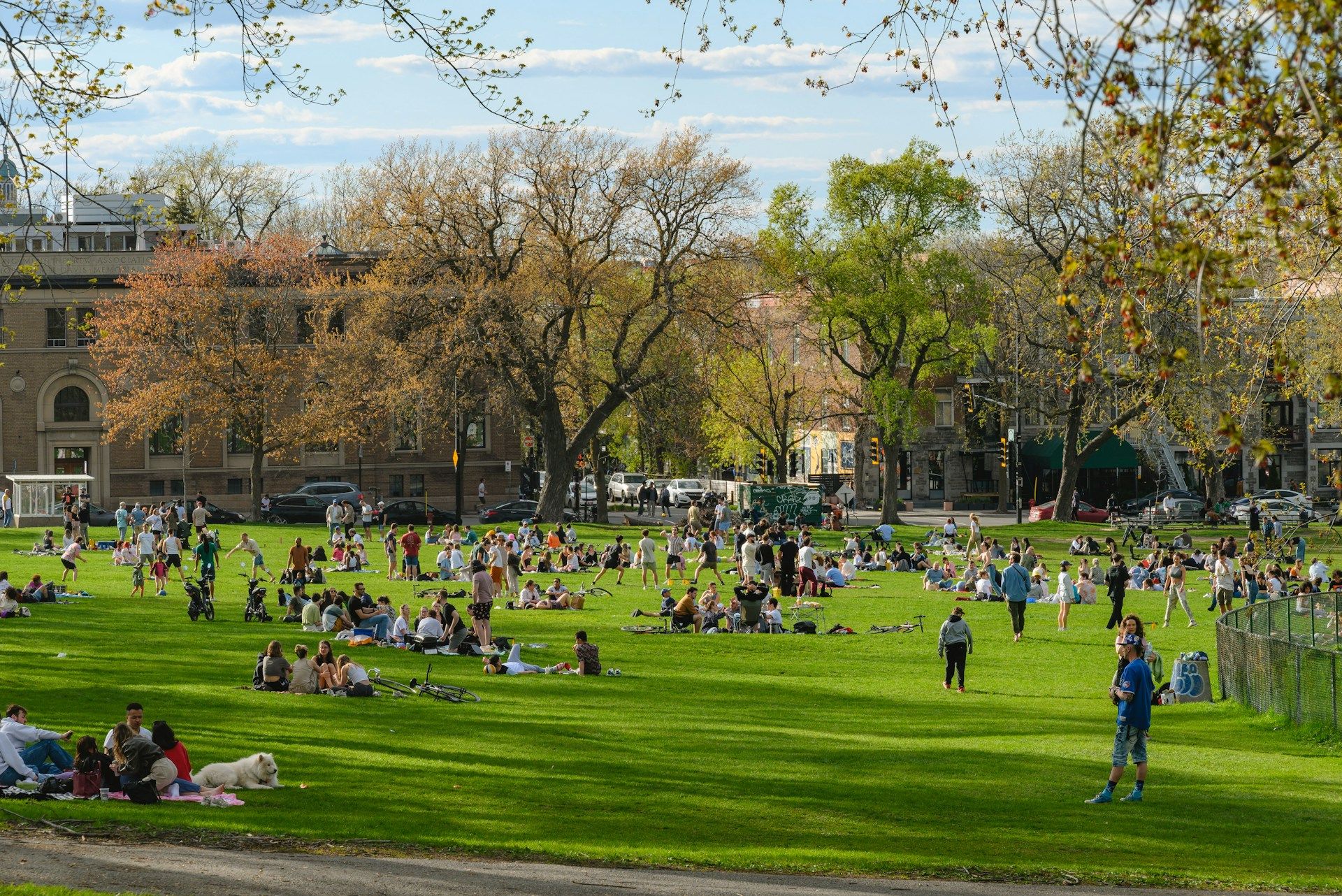 Don’t miss out this spring: the top 50 must-do things to do this season